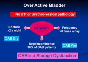 Over Active Bladder - Tees Urology